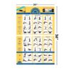 Whole Body Vibration Exercise Poster - BC Vibrant Health